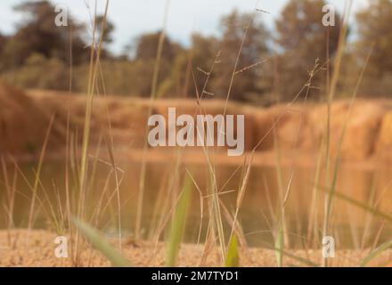 nearby lake around the barren or dried land Stock Photo - Alamy