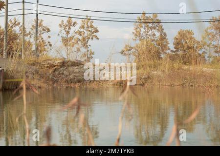 nearby lake around the barren or dried land Stock Photo - Alamy