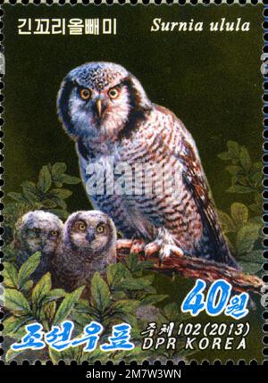 2013 North Korea stamps set. Owls. Snowy owl, polar owl, white owl ...