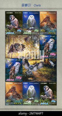 2013 North Korea stamps set. Owls. Northern hawk-owl, northern hawk owl ...