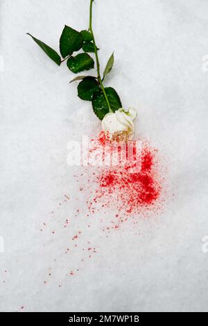 Bloodstained white rose in the snow, murder mystery book cover style ...