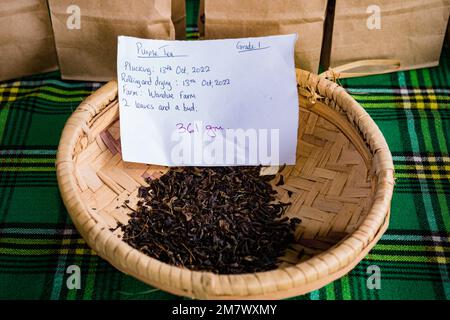 Kenyan Tea green leaves cooking drying up processing traditional way ...