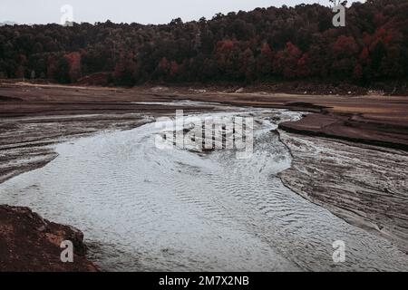Winter in Conguillio Park. Chile Stock Photo - Alamy