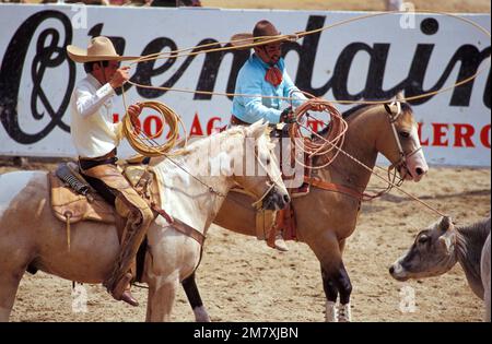 Mexico, Jaliscio, Gudalajara, Charreada, Charro, r Stock Photo - Alamy