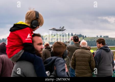 The U.S. Navy West Coast Rhino F/A-18 Superhornet Demo team performs ...
