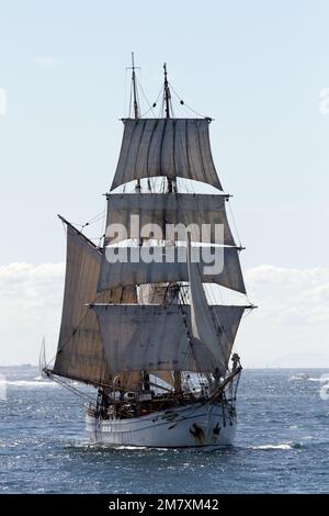 Australian brigantine Soren Larsen, 2013 Stock Photo - Alamy