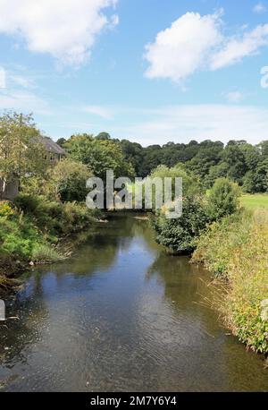 The River Darwen flowing through Hoghton Bottoms Lancashire England ...