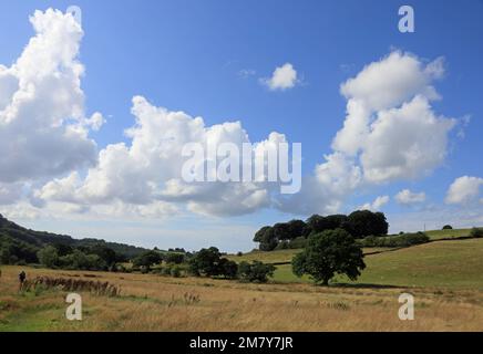 Throstle Nest Brow between the village of Pleasington and Hoghton ...