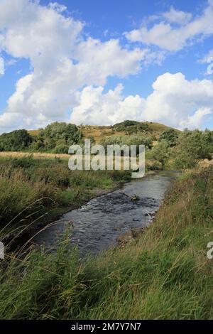 The River Darwen flowing through Hoghton Bottoms Lancashire England ...
