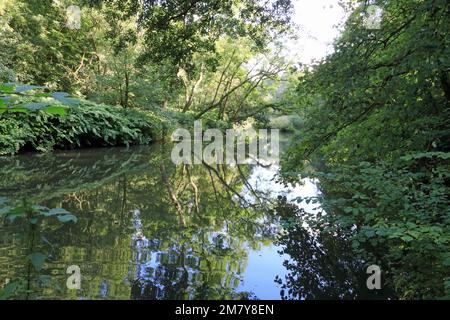 The River Darwen near Hoghton Lancashire England Stock Photo - Alamy