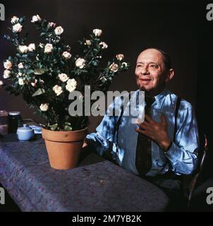 Der Rosenstock, Fernsehfilm nach dem Stück von H. N. Clauss ...