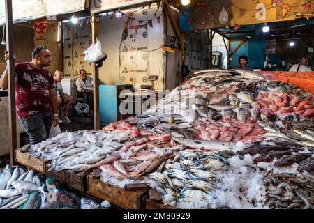 THE STANDS OF COLORFUL FISH IN THE FISH MARKET ON THE MARINA, HURGHADA ...