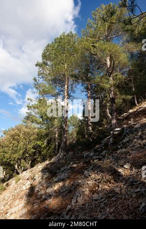 Way to la Picosa. Teruel Province Stock Photo - Alamy