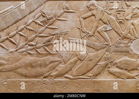 FISHING SCENE, BAS-RELIEF IN THE MASTABA OF KAGEMNI, VIZIER DURING THE ...