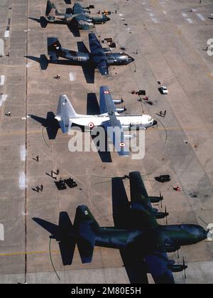 Bottom view of a C-130 Hercules aircraft as paratroopers jump from the ...