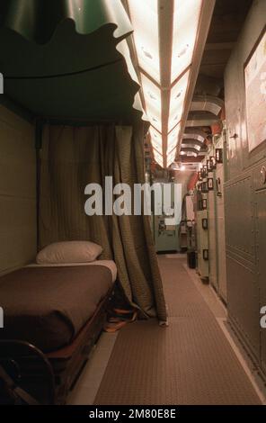 A view of the Air Force living quarters for exercise BRIGHT STAR '80 ...