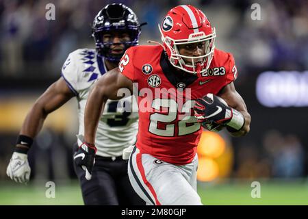 Georgia Bulldogs running back Branson Robinson (22) runs the ball ...