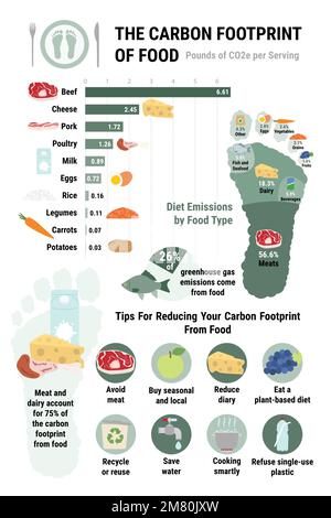 Carbon footprint infographic. Tips for reducing your personal carbon ...