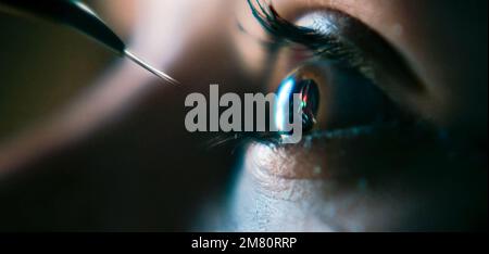 EVIL DEAD RISE, Gabrielle Echols, 2023. © Warner Bros. / Courtesy ...