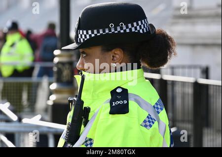 Female Metropolitan Police Officer, Whitehall, London, UK Stock Photo ...