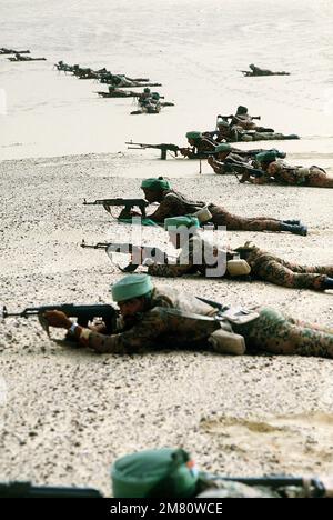 Egyptian soldiers, armed with Soviet designed AKM assault rifles ...