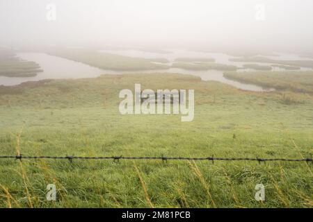 Foggy day over the wetlands, Burgh-Haamstede, Zeeland, The Netherlands ...