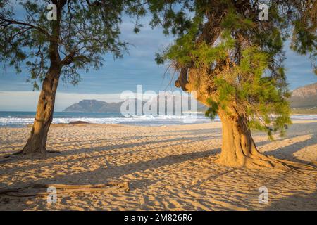 Sa Canova Beach, Son Serra de Marina. Artà. Mallorca. Spain Stock Photo ...