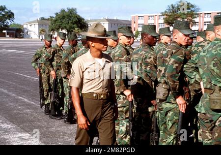 Marine recruits drill with M16A1 rifles during basic training at the ...