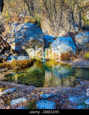 Fallen Leaves on Pool at Smith Springs Near Frijole Ranch, Guadalupe ...