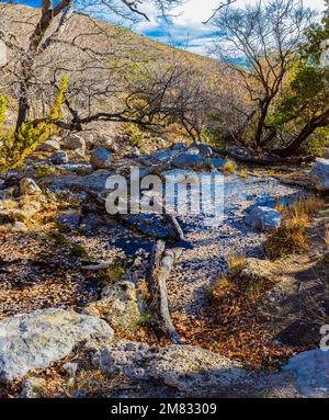 Fallen Leaves on Pool at Smith Springs Near Frijole Ranch, Guadalupe ...