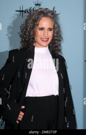 Andie MacDowell attends the premiere of the TV show "The Way Home" in ...