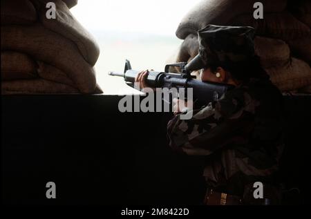 A woman Marine recruit fires an M-16A2 rifle from a prone position ...
