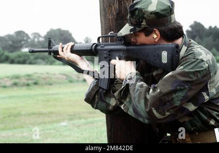 A woman Marine recruit fires an M-16A2 rifle from a prone position ...