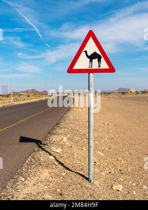 Camel warning traffic sign, Oman Stock Photo - Alamy