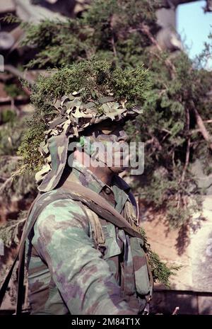 A camouflaged soldier of the 2nd Bn., 41st Inf., 2nd Armored Div ...