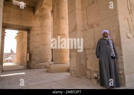 Wächter, großer Säulensaal Hypostyl, Ramesseum, Theben-West, Ägypten ...