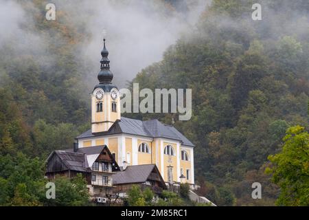 Wet misty day in the Bohinj Region of Slovenia, Europe EU Stock Photo ...