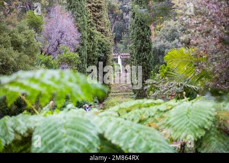 DOMAINE DU RAYOL, LES MEDITERRANEES GARDEN, LE RAYOL CANADEL SUR MER ...