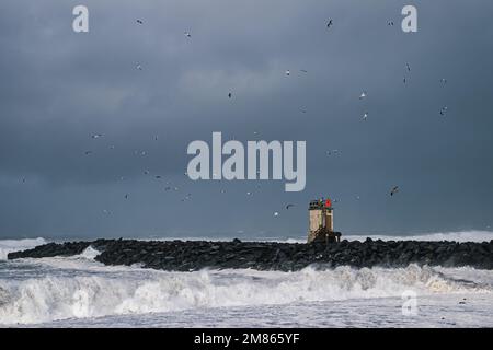 Seagulls flying around a jetty with a foghorn at the Oregon Coast Stock ...