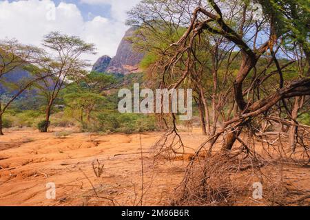 Scenic view of Ndoto Mountains in Ngurunit, Marsabit County, Kenya ...