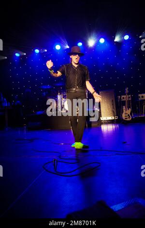 Udo Lindenberg is a German singer, drummer, and composer Stock Photo ...