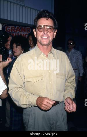 Peter Brown July 1993 Credit: Ralph Dominguez/MediaPunch Stock Photo ...