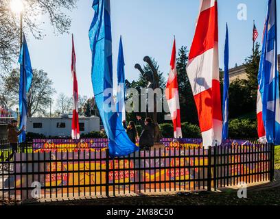 Famous Rocky Balboa statue; Philadelphia Museum of Art; Philadelphia ...