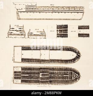 A plans of a slaving brig Vigilante which was captured by the royal ...