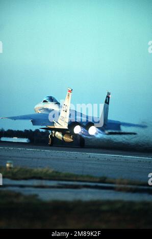 A left rear view of F-15 Eagle aircraft assigned to the 7th and 8th ...