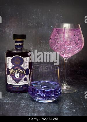 Bucharest, Romania - January 7, 2023: Romanian Wolfpack gin takes its ...