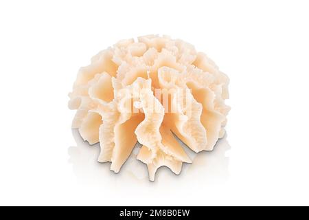 Isolated colored candle of various shapes. Scented candle. Candle with ...