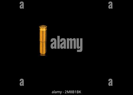 This is a cartridge case of one of the most well-known types of small ...