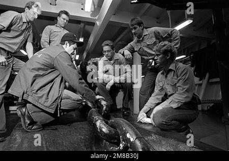 Navy reservists and Navy League Sea Cadets enjoy lunch aboard the ...