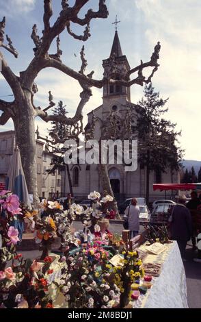 Parade of the donkey festival in Gonfaron Var Provence village wher ...